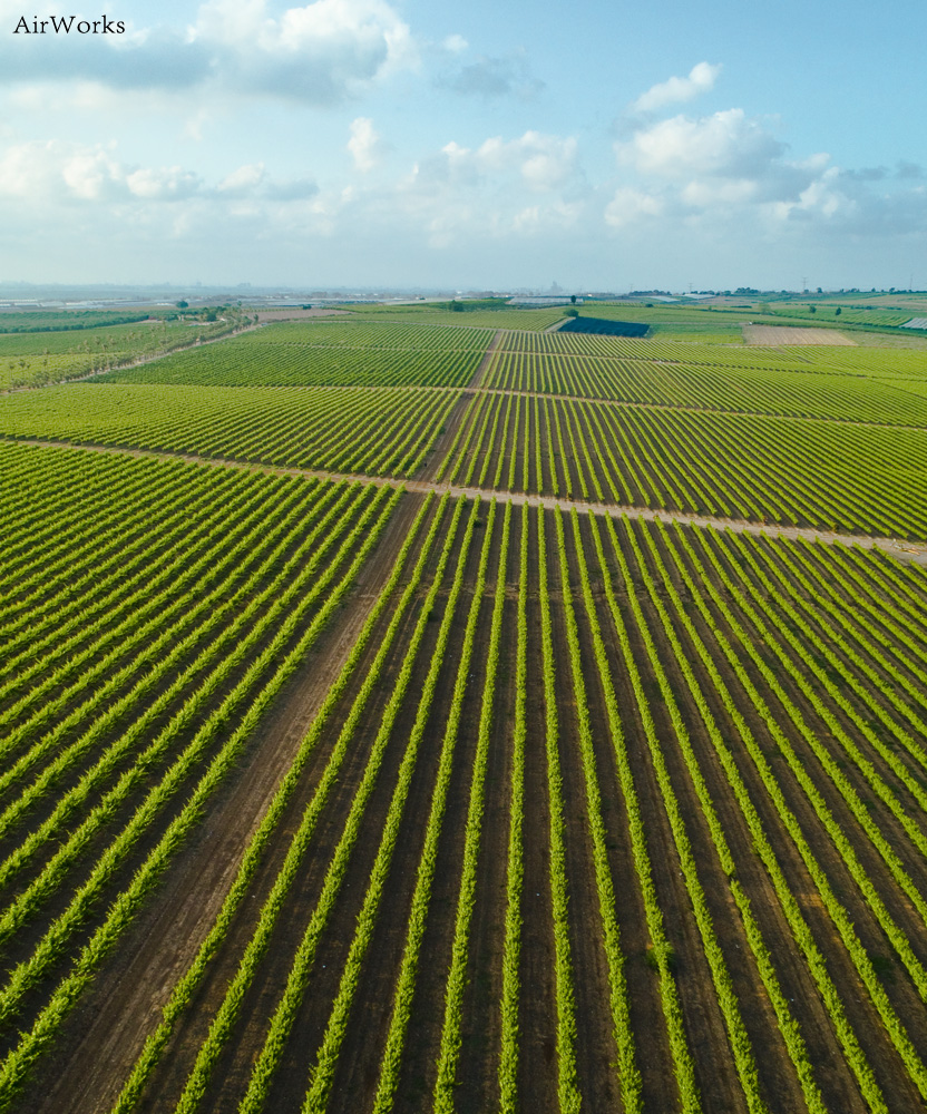 Mapping uncropped areas in agricultural fields - Hamaarag