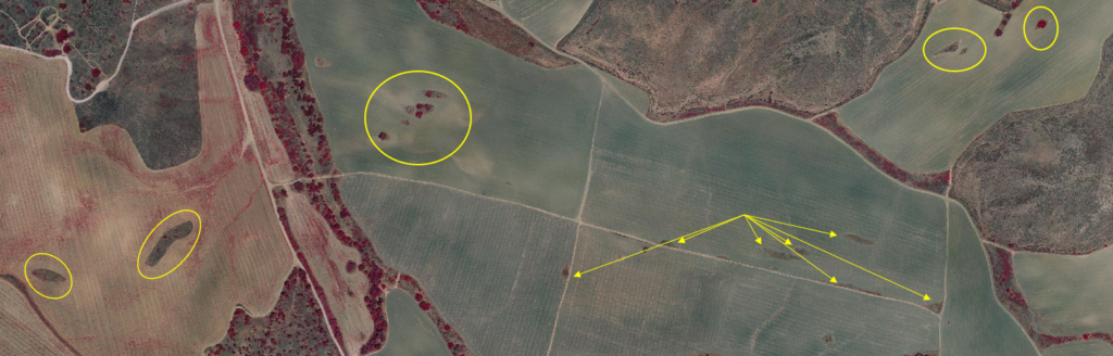 Mapping uncropped areas in agricultural fields - Hamaarag